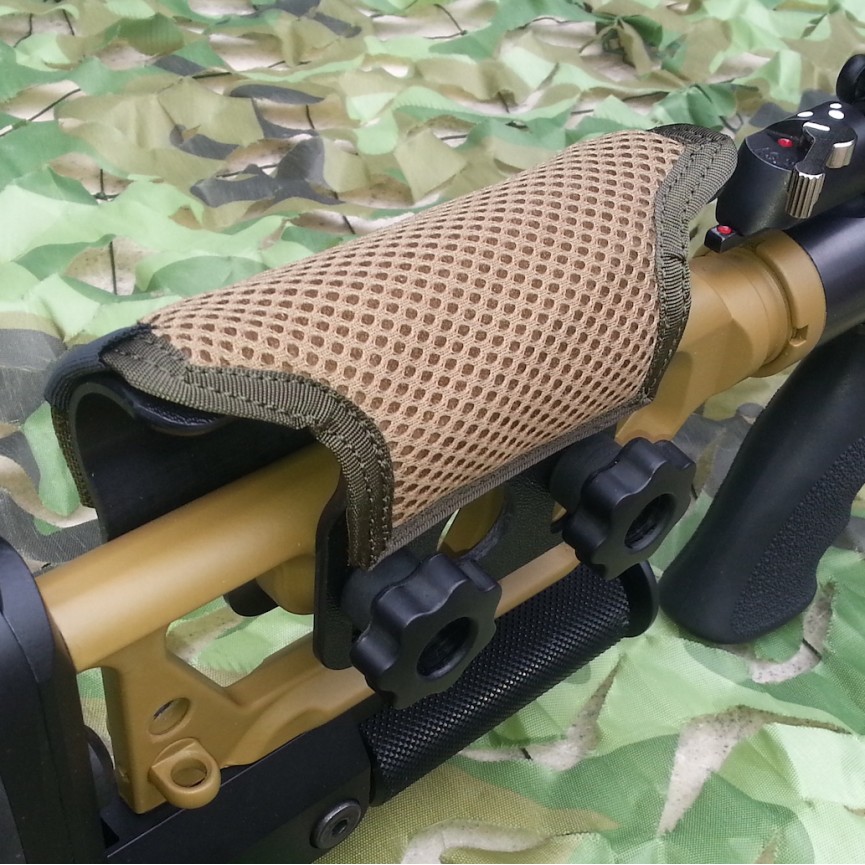 Cheek Rest Protection