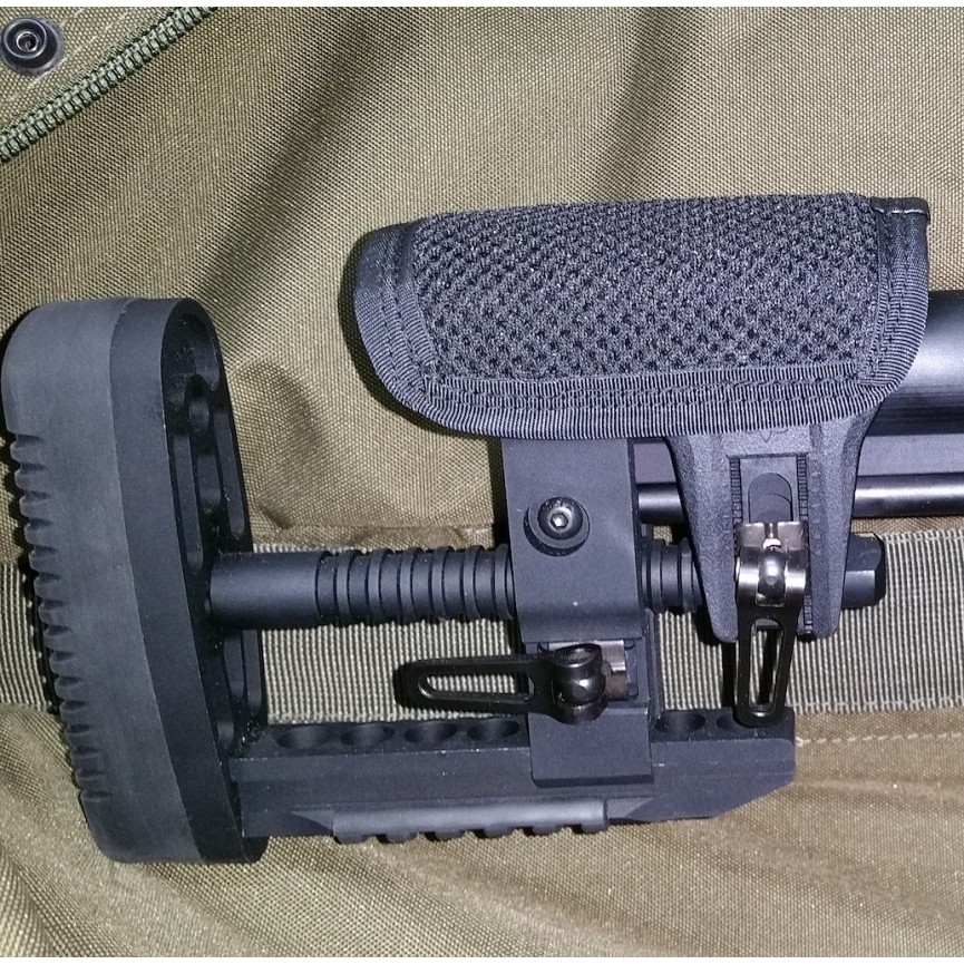 Cheek Rest Protection