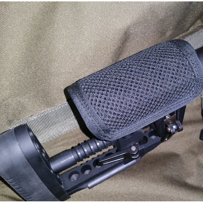 Cheek Rest Protection